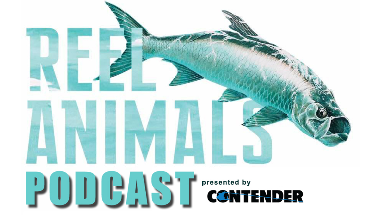 Reel Animals: Ryan Wiggins of Abyss Battery